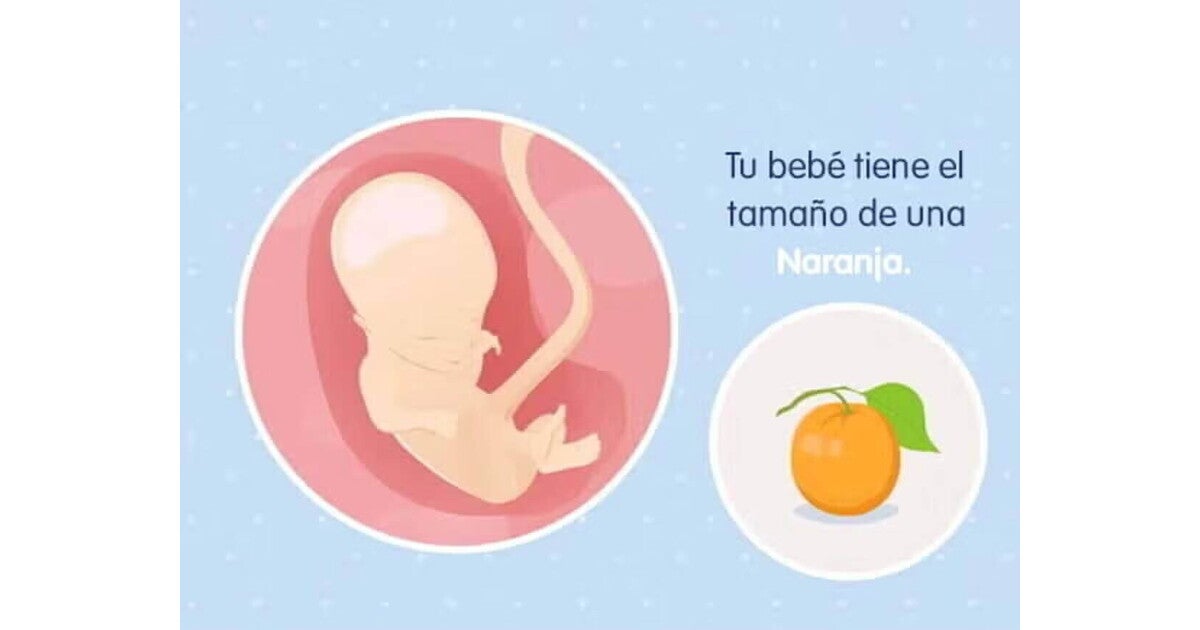 ¿Preparada para las 14 semanas de embarazo? | Nestlé Materna