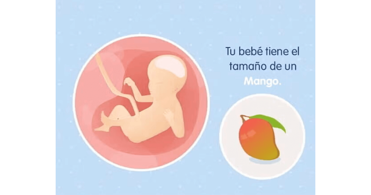 Mi embarazo de 23 semanas: Principales síntomas | Nestlé Materna