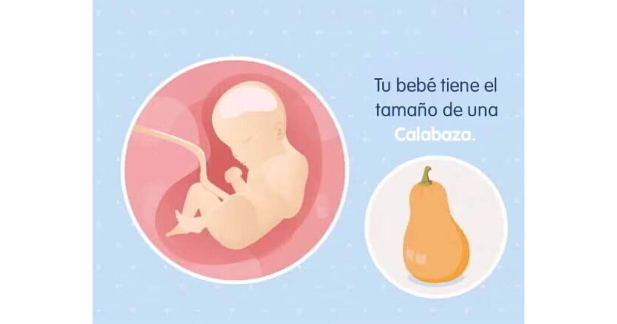 29 semanas de embarazo: tu semana a semana | Nestlé Materna